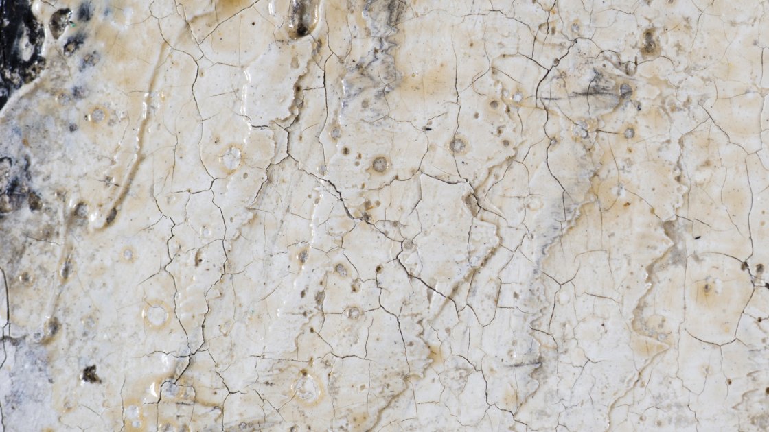 Proyecto - Proceso de restauración y estudio técnico de “Jugadores de ...