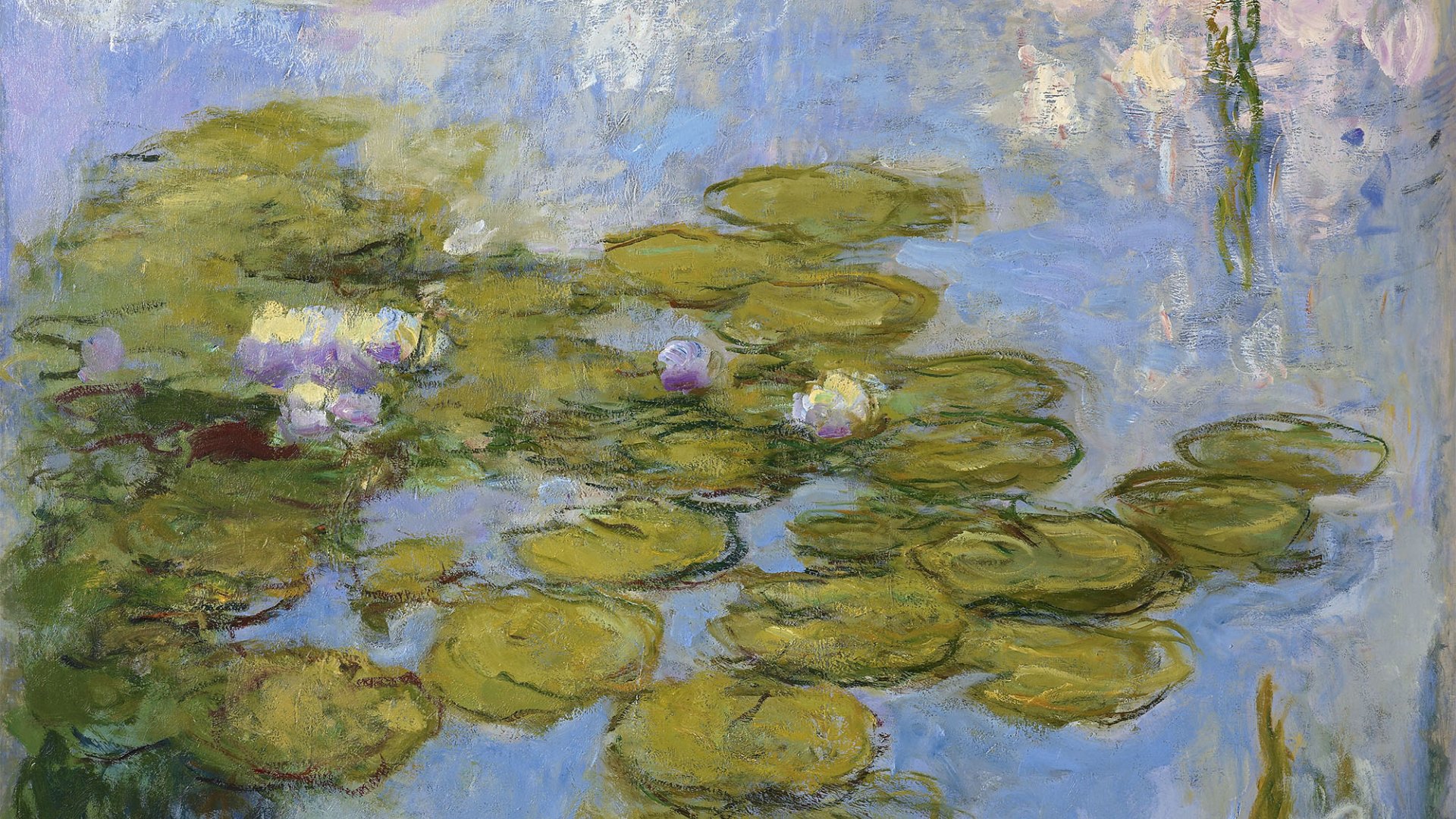CNIO Arte 2024. Dora García, End (dos prólogos) | Museo Nacional ...