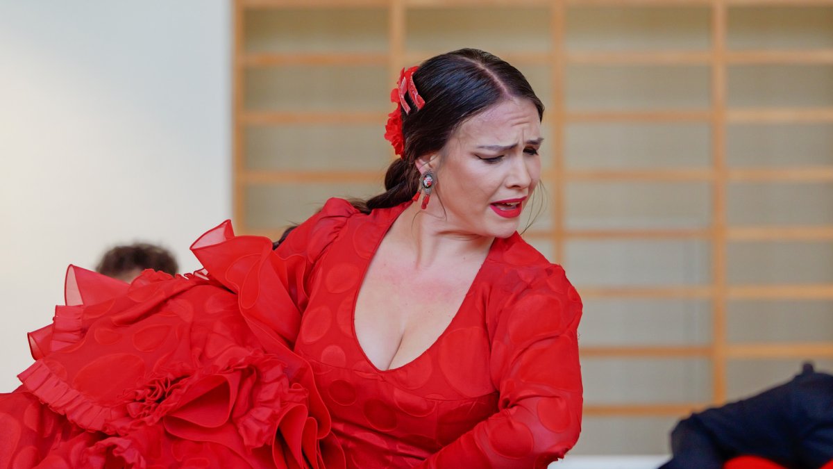 Paula Rodríguez (dance) and Antonio González Reyes (guitar) | Museo ...