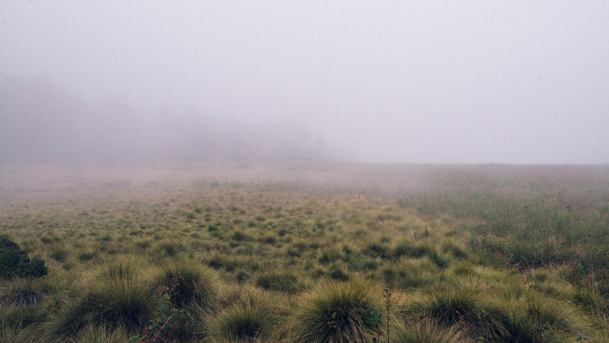 Ecologies of Reparation, by Malcom Ferdinand and Yina Jiménez Suriel ...