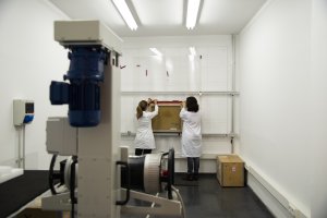 Imagen radiográfica - Museo Nacional Thyssen-Bornemisza